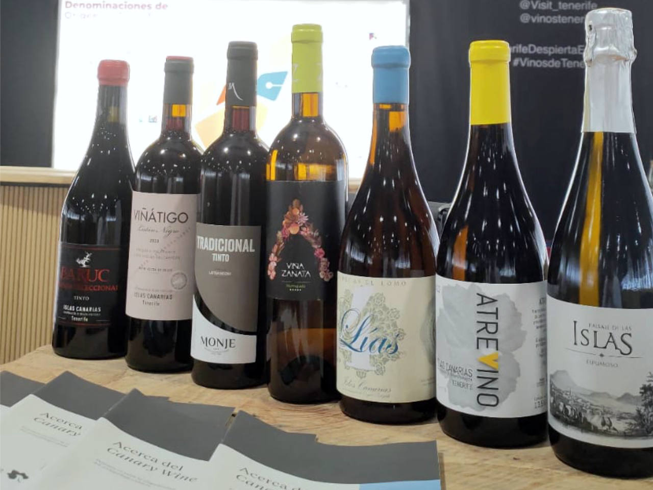 Madrid Fusión 2024 - Canary Wine